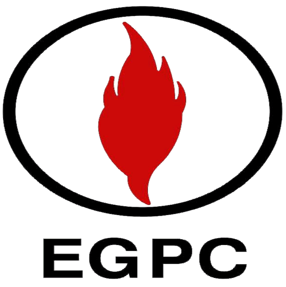 Egyptian LNG Website